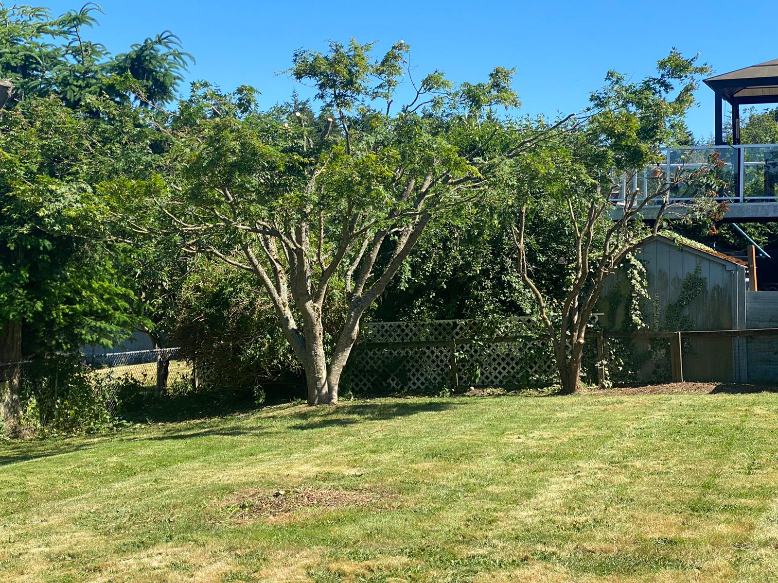Gallery – PG Landscaping 360 Llc